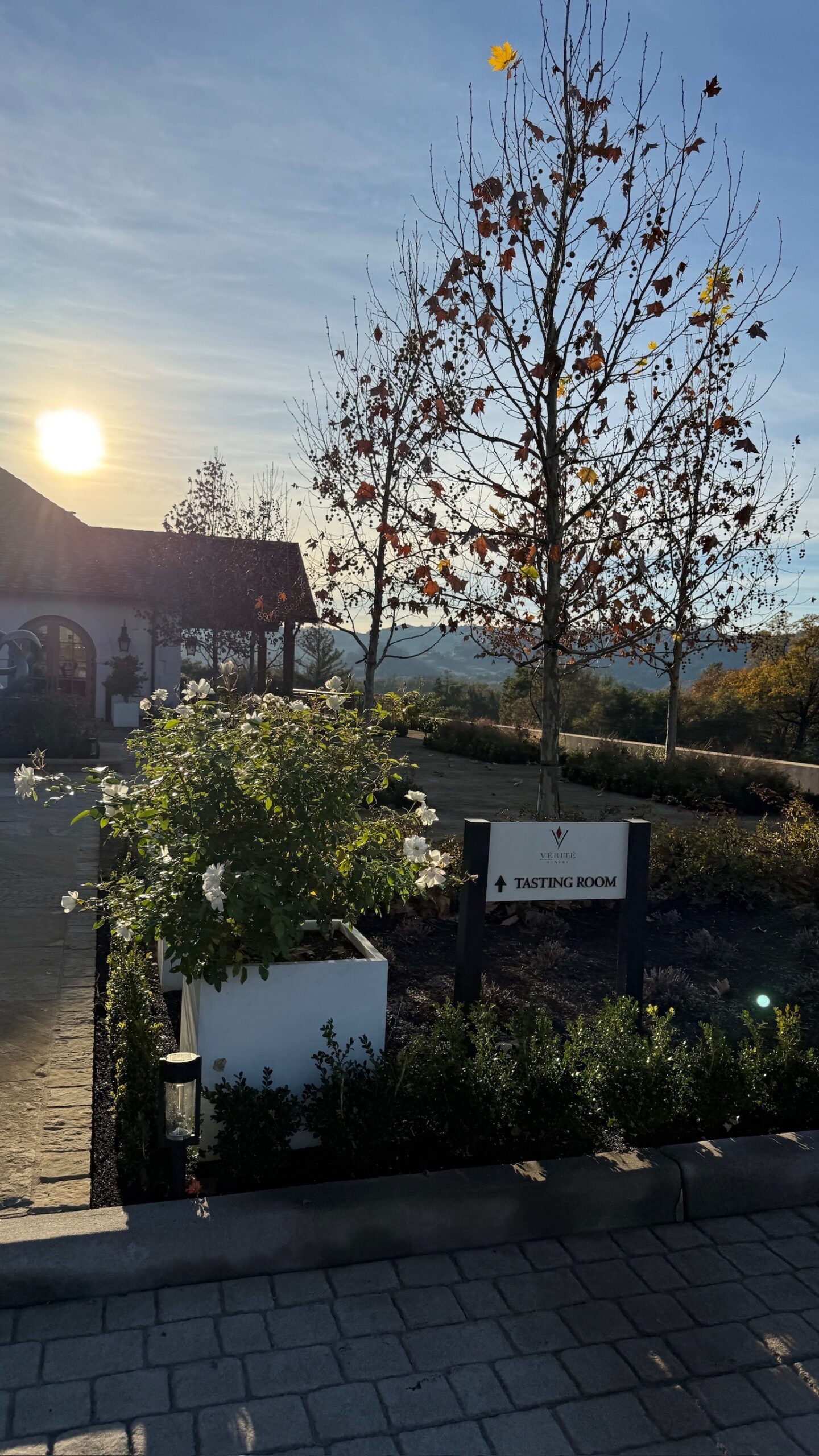 The Ultimate Napa Valley Itinerary: A Weekend in Wine Country