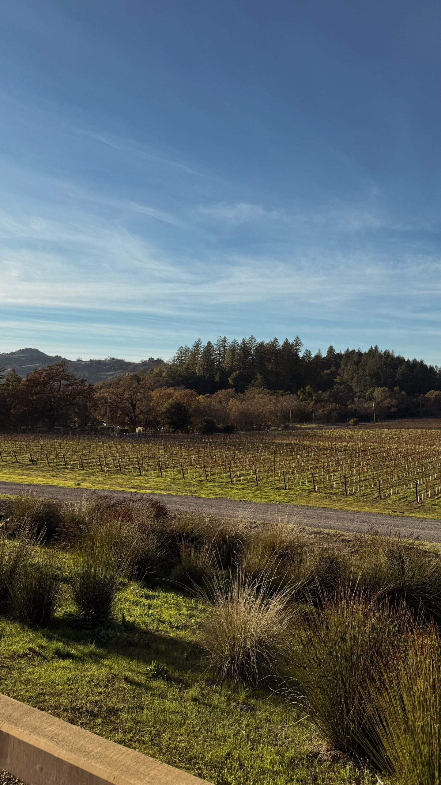 The Ultimate Napa Valley Itinerary: A Weekend in Wine Country